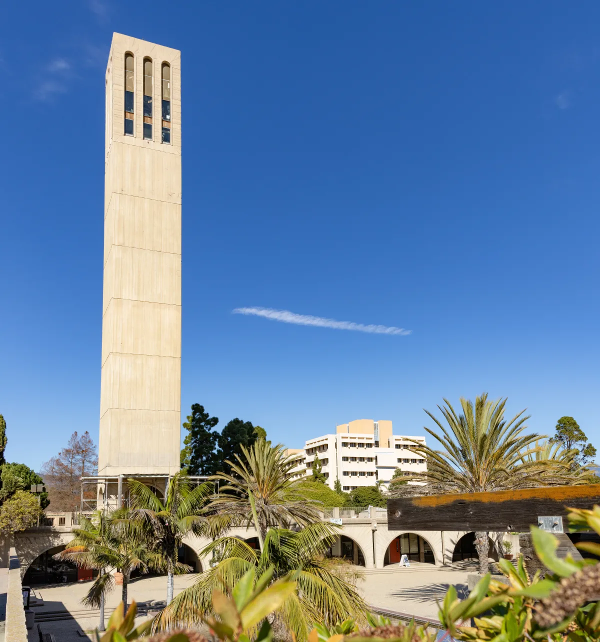 Inside Storke Tower | Daily Nexus